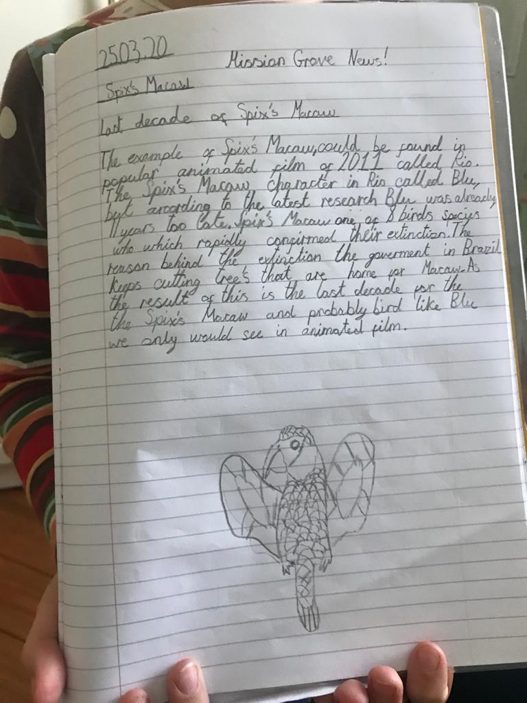 Literacy - Mission Grove Primary School